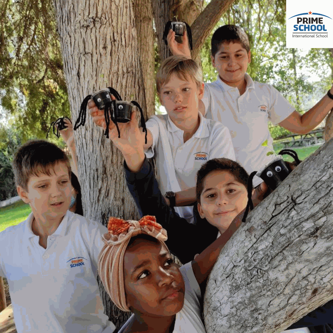 Prime School | Portugal | Cambridge Curriculum